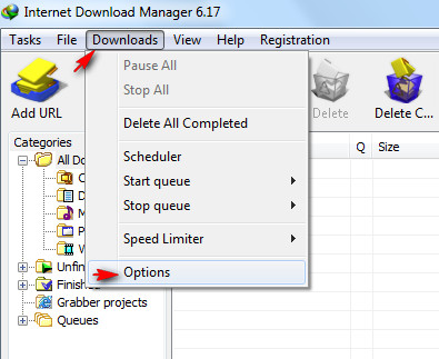 IDM does not catch downloads from a particular site automatically | MalwareTips Forums