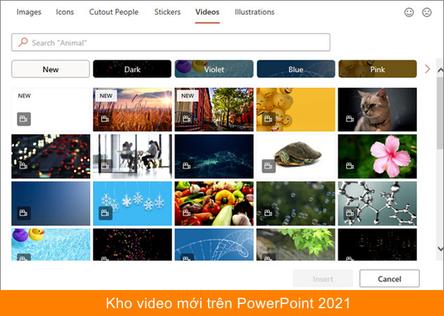 Download Microsoft PowerPoint 2021 cho Windows - Tạo slide trình chiếu