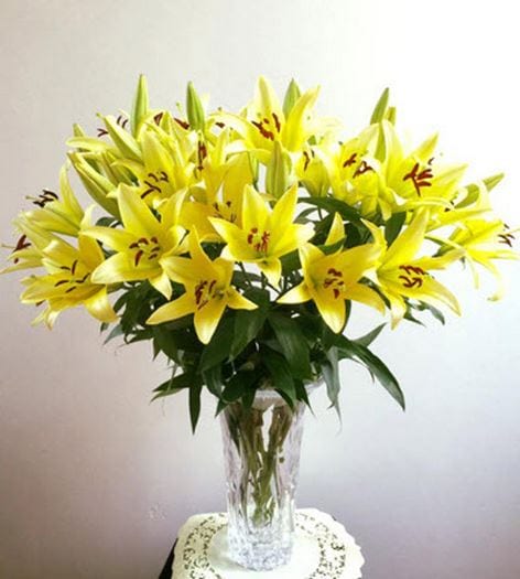 Download Cắm hoa ly Ngày tết - Cách cắm hoa ly đẹp và ý nghĩa -taimien