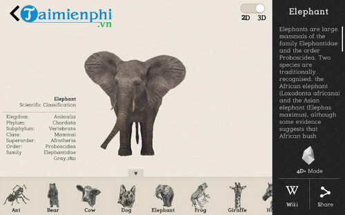 Tải Animal 4D+, tạo con vật 4D cho Android, iPhone, ứng dụng thực tế ả