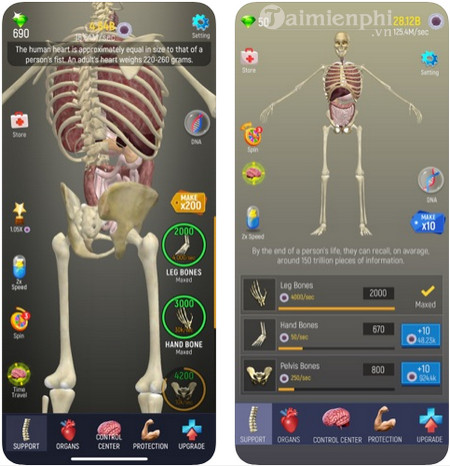Tải Idle Human, game tìm hiểu cơ thể người cho Android, iPhone -taimie