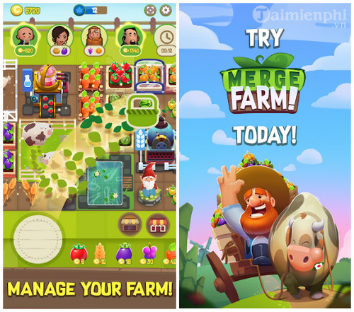 Tải Merge Farm, game nông trại cho Android -taimienphi.vn