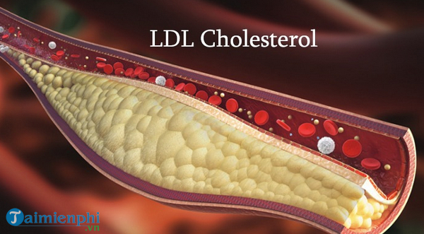 Cholesterol là gì? khái niệm và phân loại