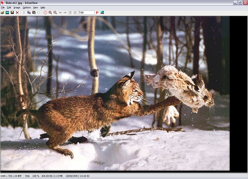 IrfanView - Hỗ trợ xem ảnh động Gif dễ dàng cho WinDows 7