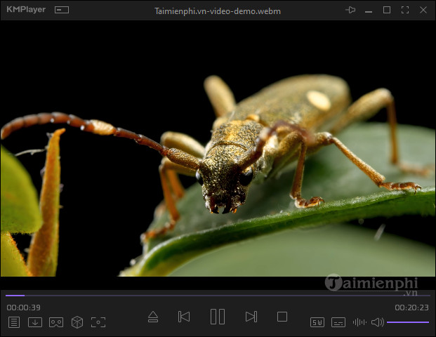 Download KMPlayer 64X 2020.12.22.30 - Phần mềm xem phim, video chất lư